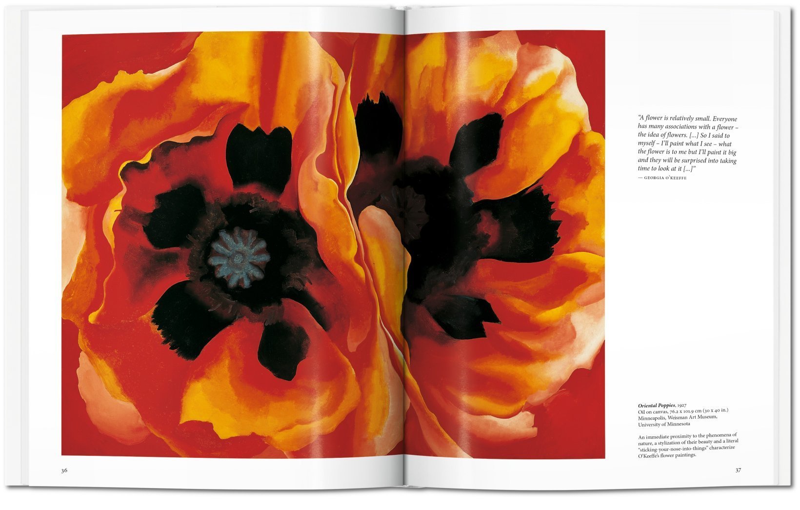 O'Keeffe (Basic Art Series) - TASCHEN Books